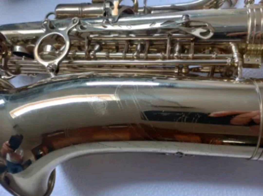 Simba Alto Saxophone | Looknet